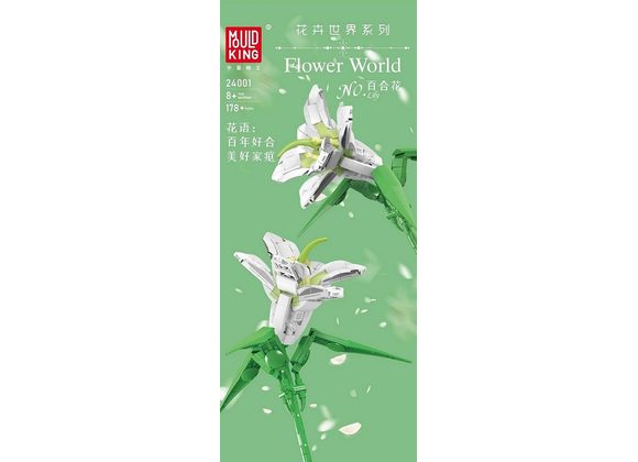 Building Block World